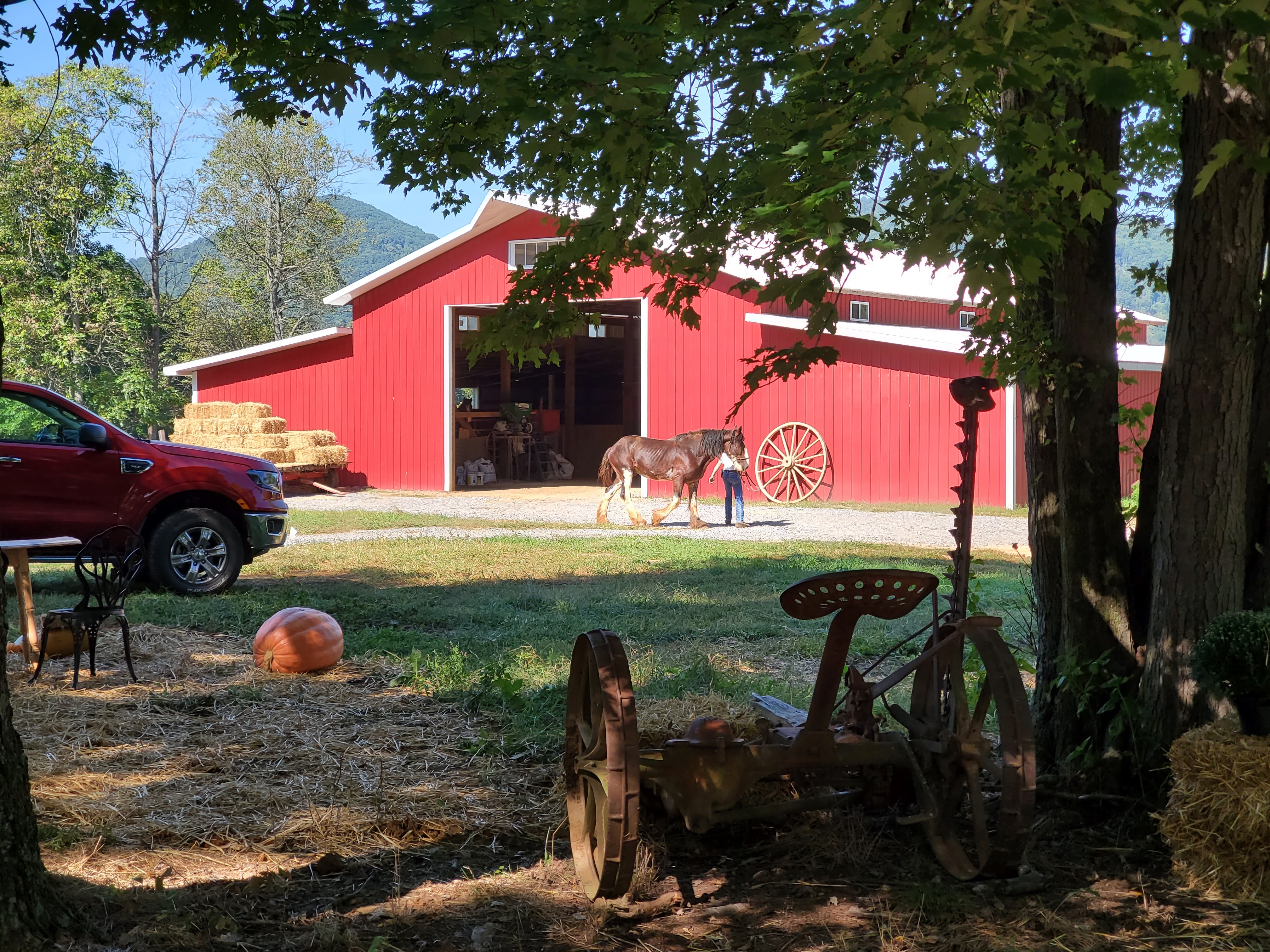Cross Creek Farm, LLC – Your vision, our farm